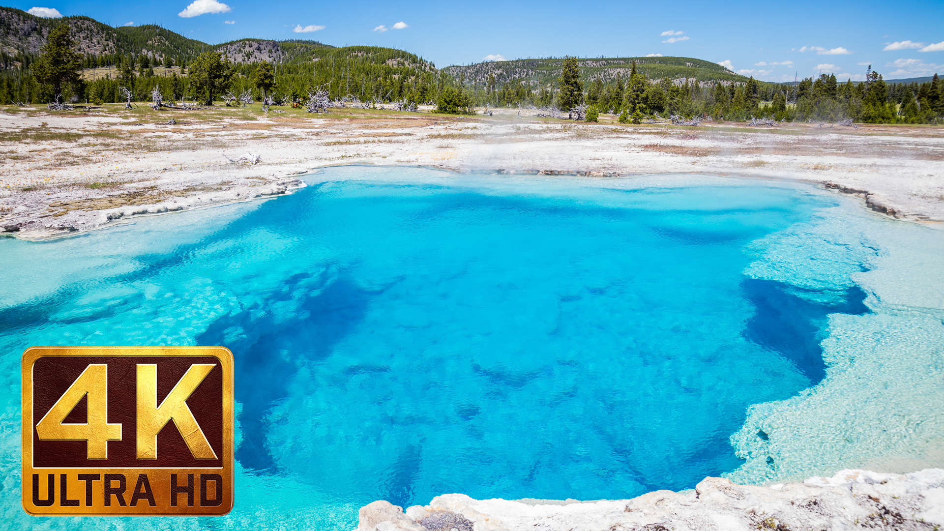 4K TV Screensavers with Instrumental Music | ProArtInc