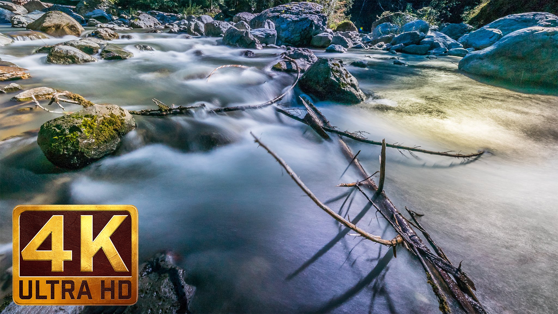 4K Nature Relaxation Footage with Nature Sounds – Water and Forest ...