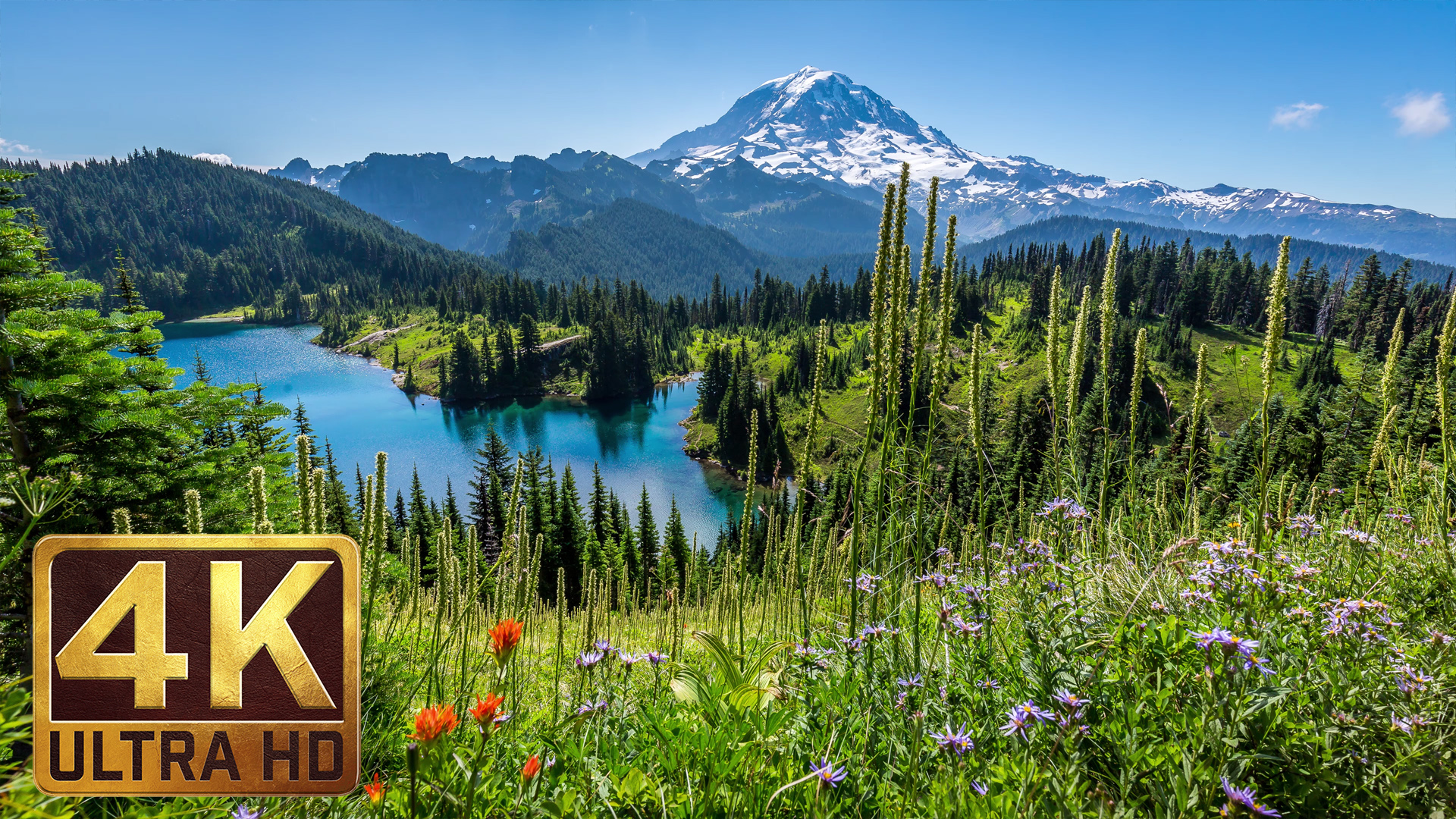 Washington State Nature Wallpaper