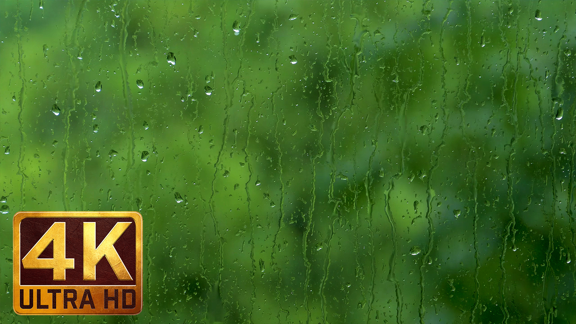 Rainy Window - 4K Relax Rain Footage/Rain Sounds | ProArtInc