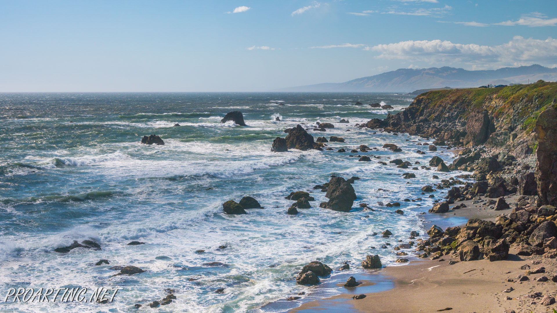 Sonoma Coast State Park 19 | ProArtInc