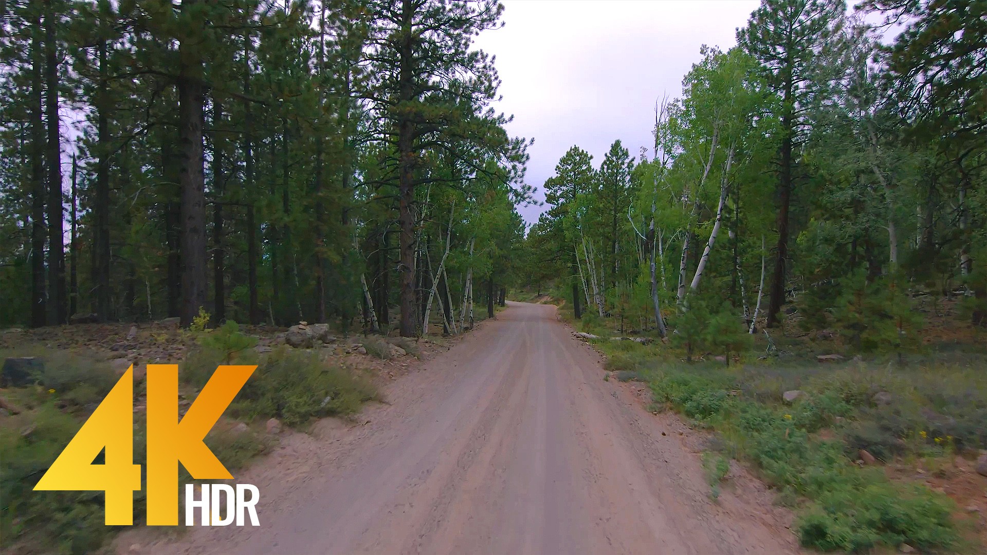 4K Scenic Drive - Hell's Backbone Road, Utah - 2 HRS | ProArtInc