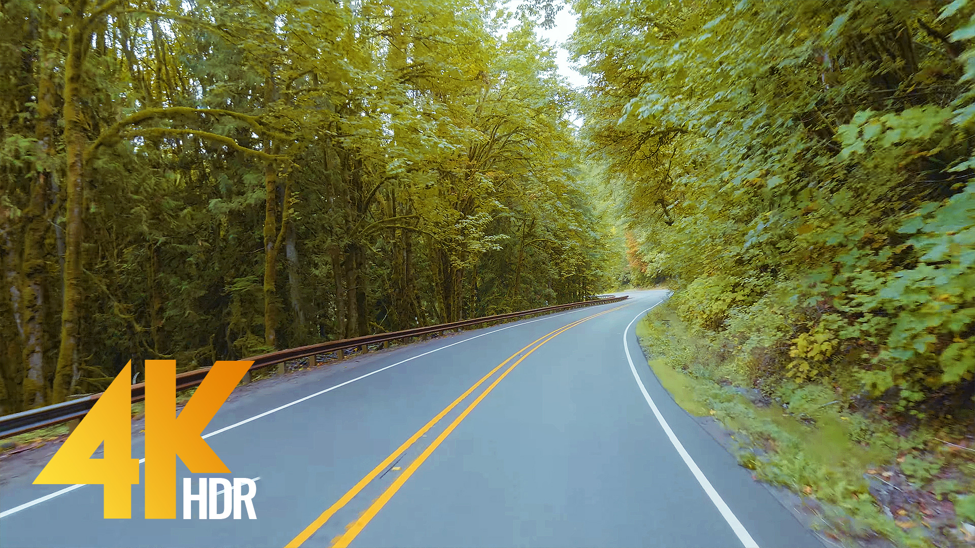 4K/4K HDR Nature Relax Video: Autumn Road. Episode 2 | ProArtInc