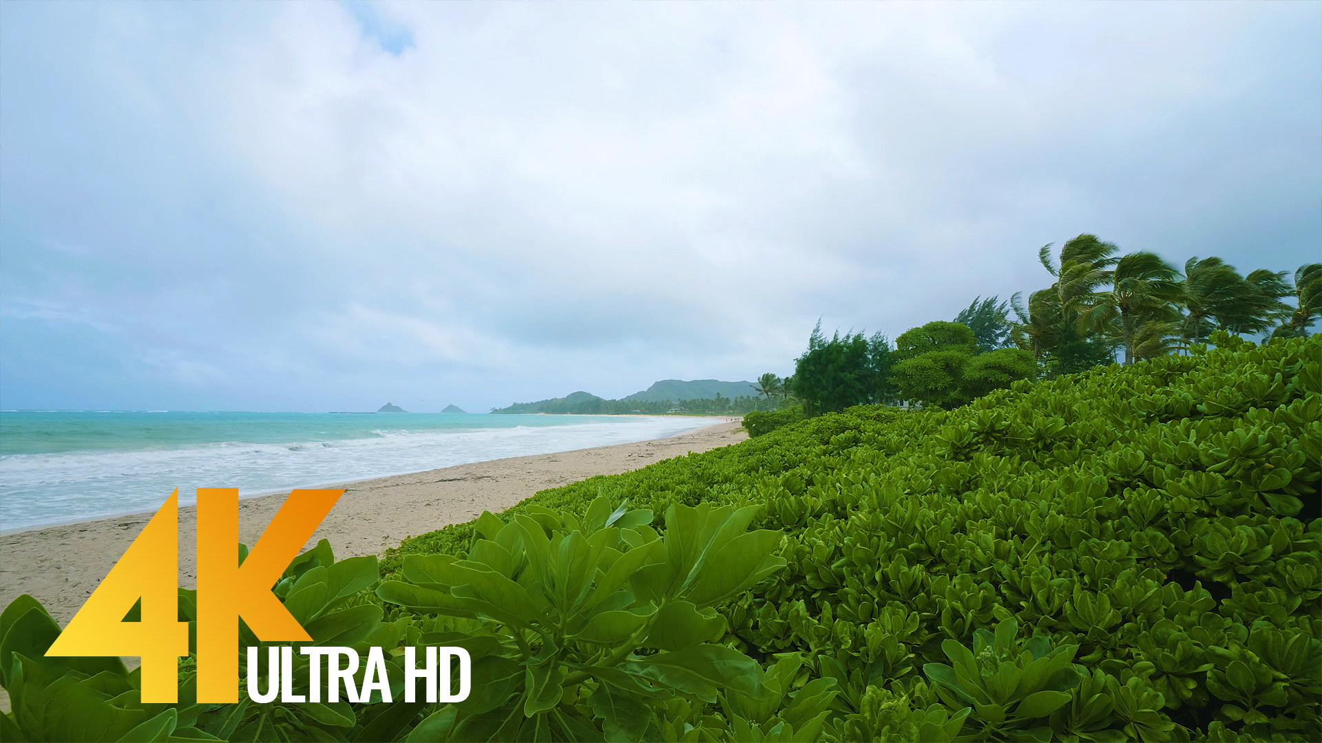 4K Nature Relax Video: Oahu Beach, Hawaii | ProArtInc