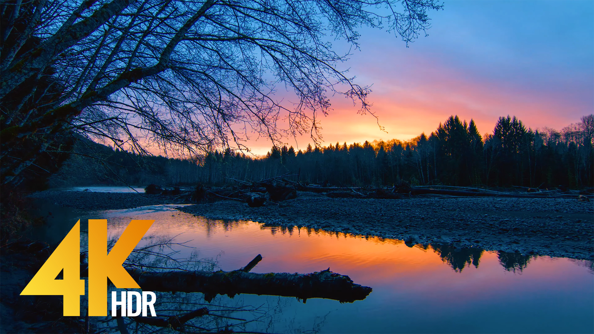 4K HDR/4K Nature Relax Video-Sunrise at Hoh River | ProArtInc