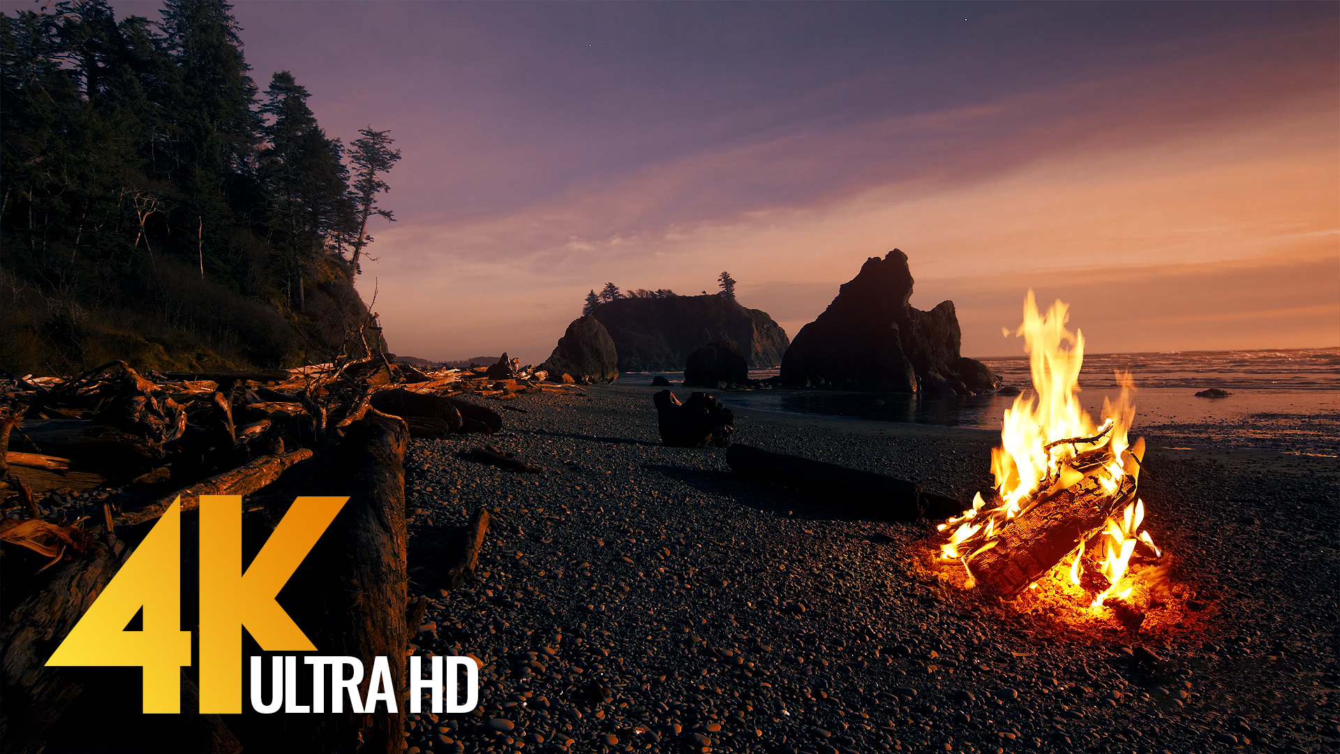 8 Hours - Campfire on the Ruby Beach | ProArtInc