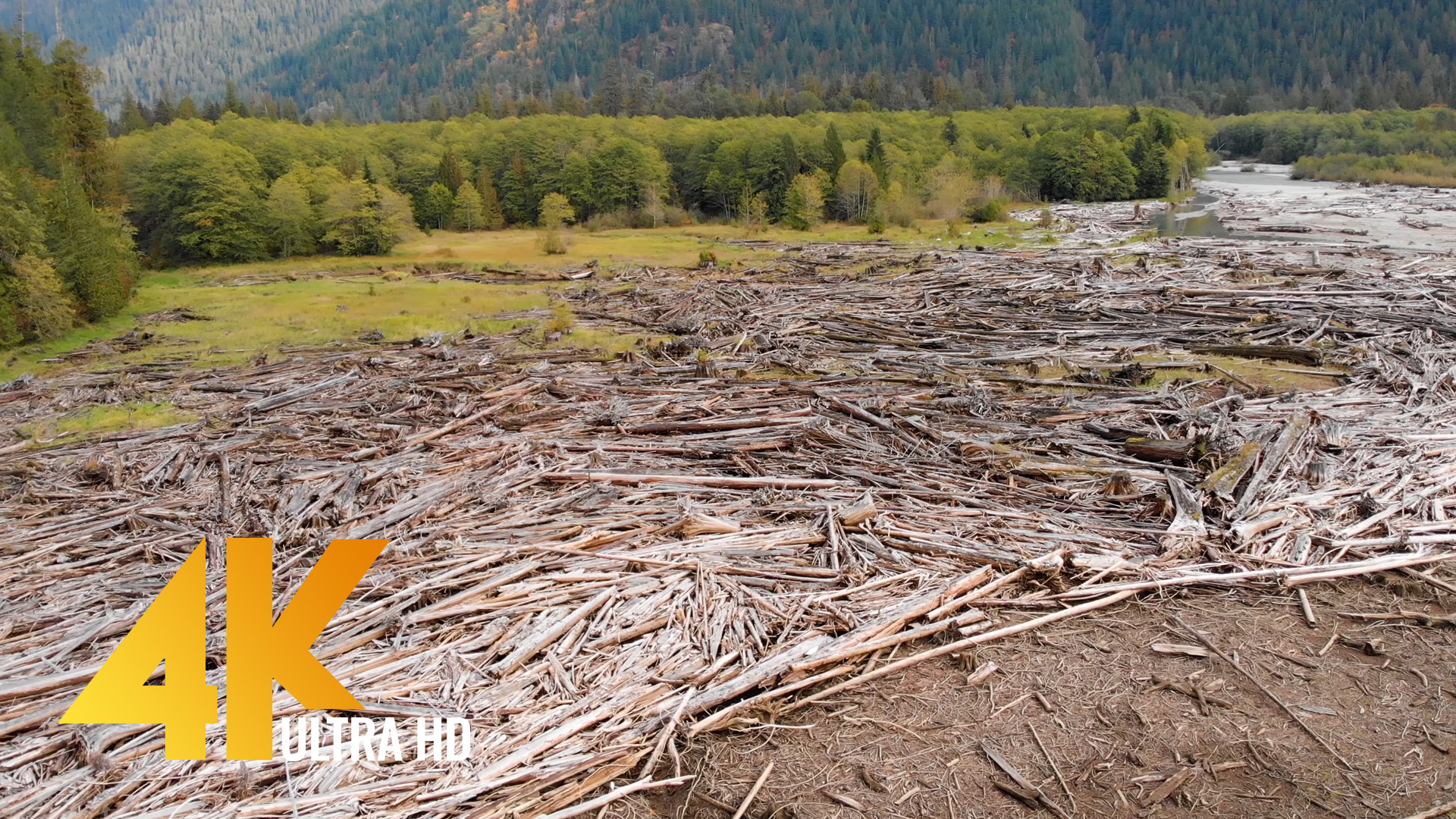 Above the Baker Lake Area, Washington State - 4K Aerial Footage | ProArtInc
