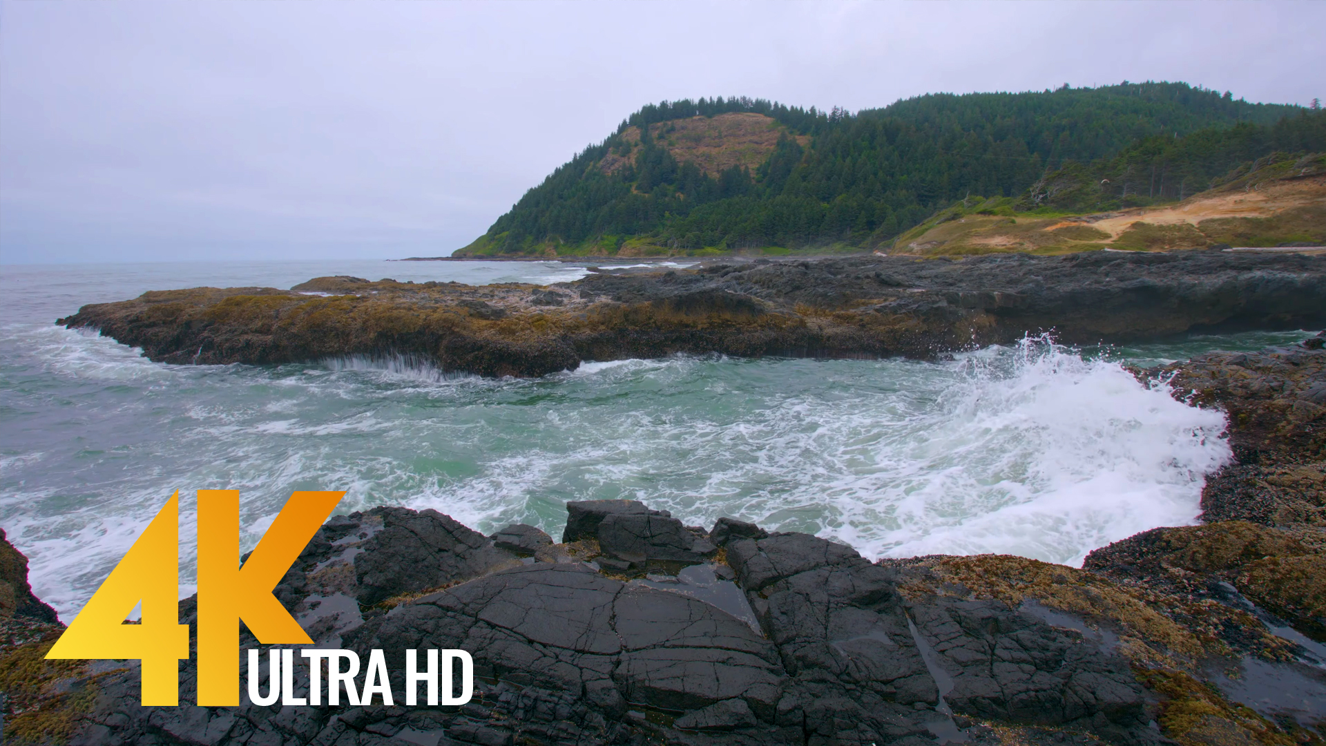 Captain Cook Trail, Oregon Coast - 4K nature relax video | ProArtInc