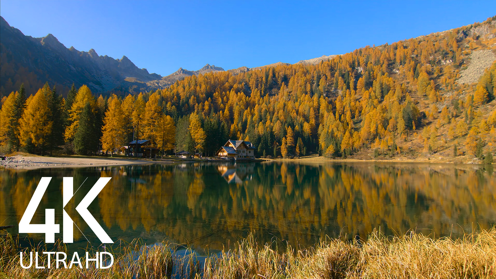 4k Autumn Lake 4k Nature Soundscapes Video Proartinc