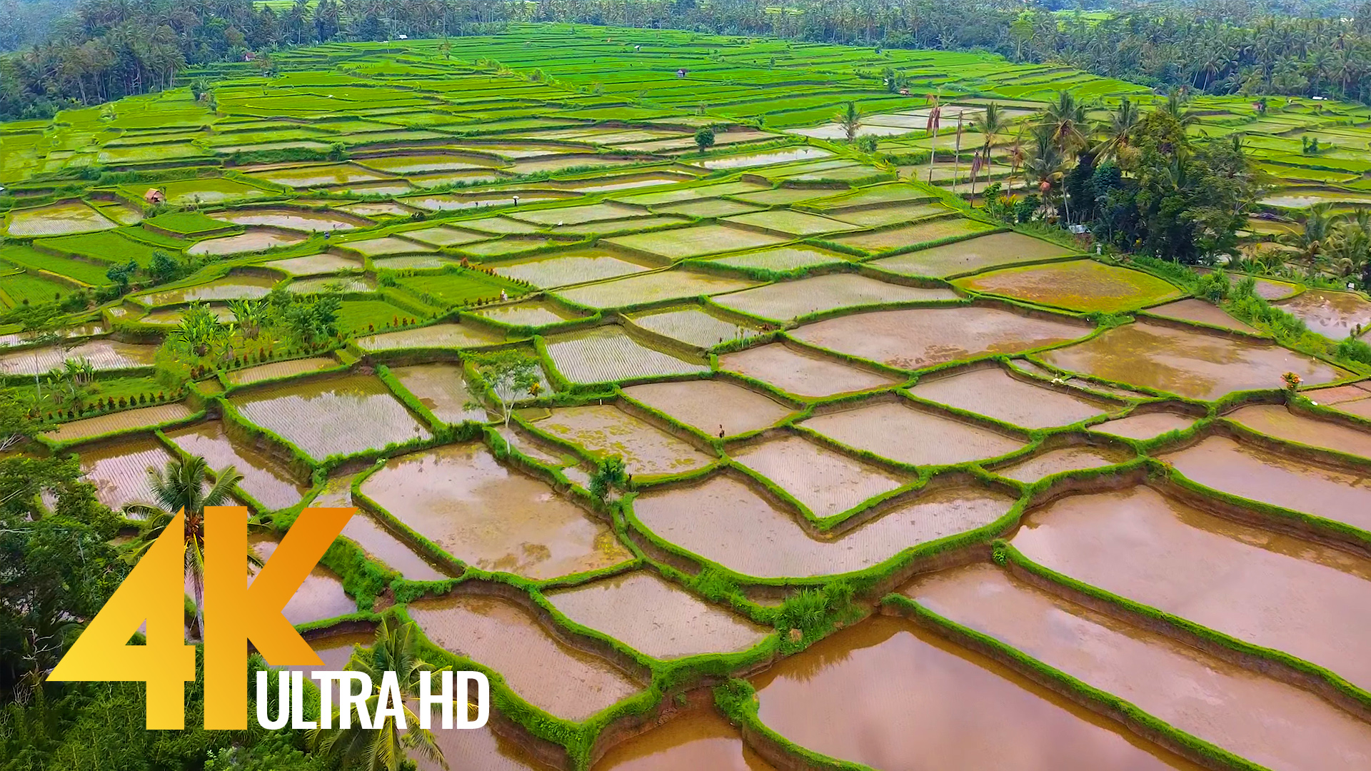 Fantastic Bali Aerial 4K Ultra HD - Island From Above - 2 HOUR Ambient ...
