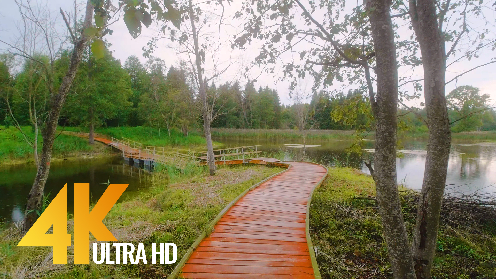 Nature Walk in 4K - Lithuanian Nature | ProArtInc