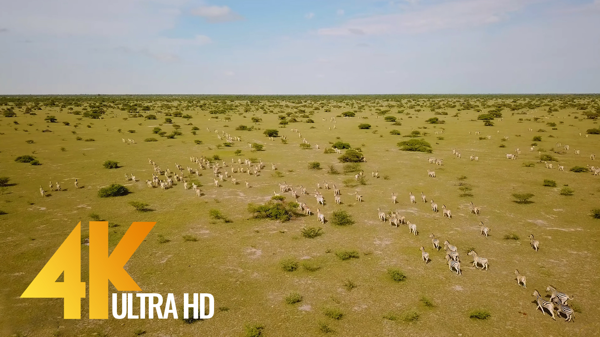 Wild Botswana in 4K - Incredible Aerial Footage of African Wildlife ...