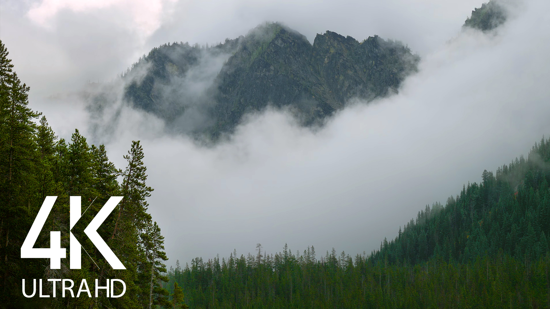 Fascinating Mountains in Fog - 8HRS of Soothing Sound of Wind and Bird ...