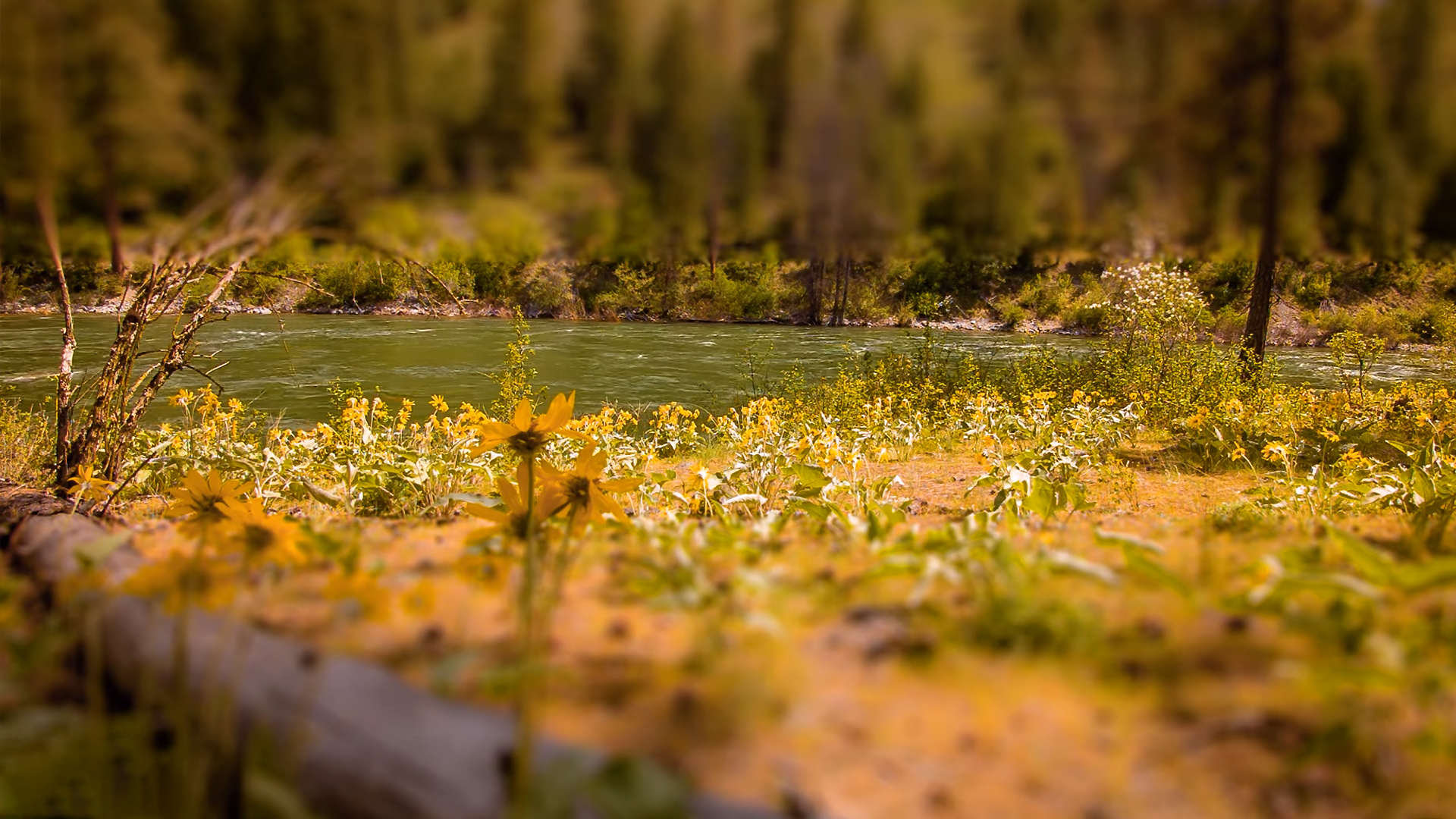 8HRS of Gentle River Sounds for Stress Relief and Deep Relaxation ...