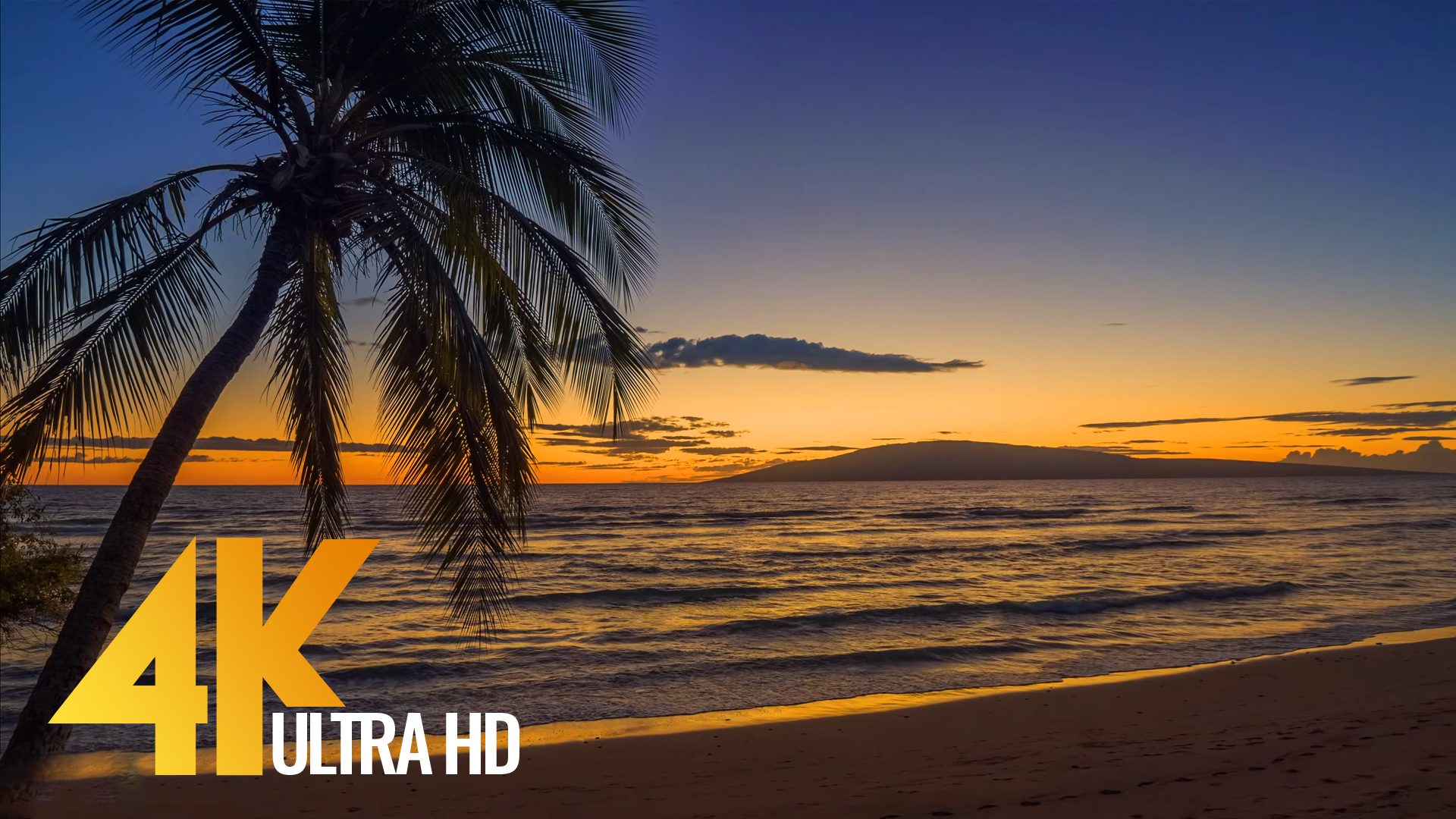 Tropical Beaches of Maui Island - 4K Relaxation Video with Waves Sounds ...