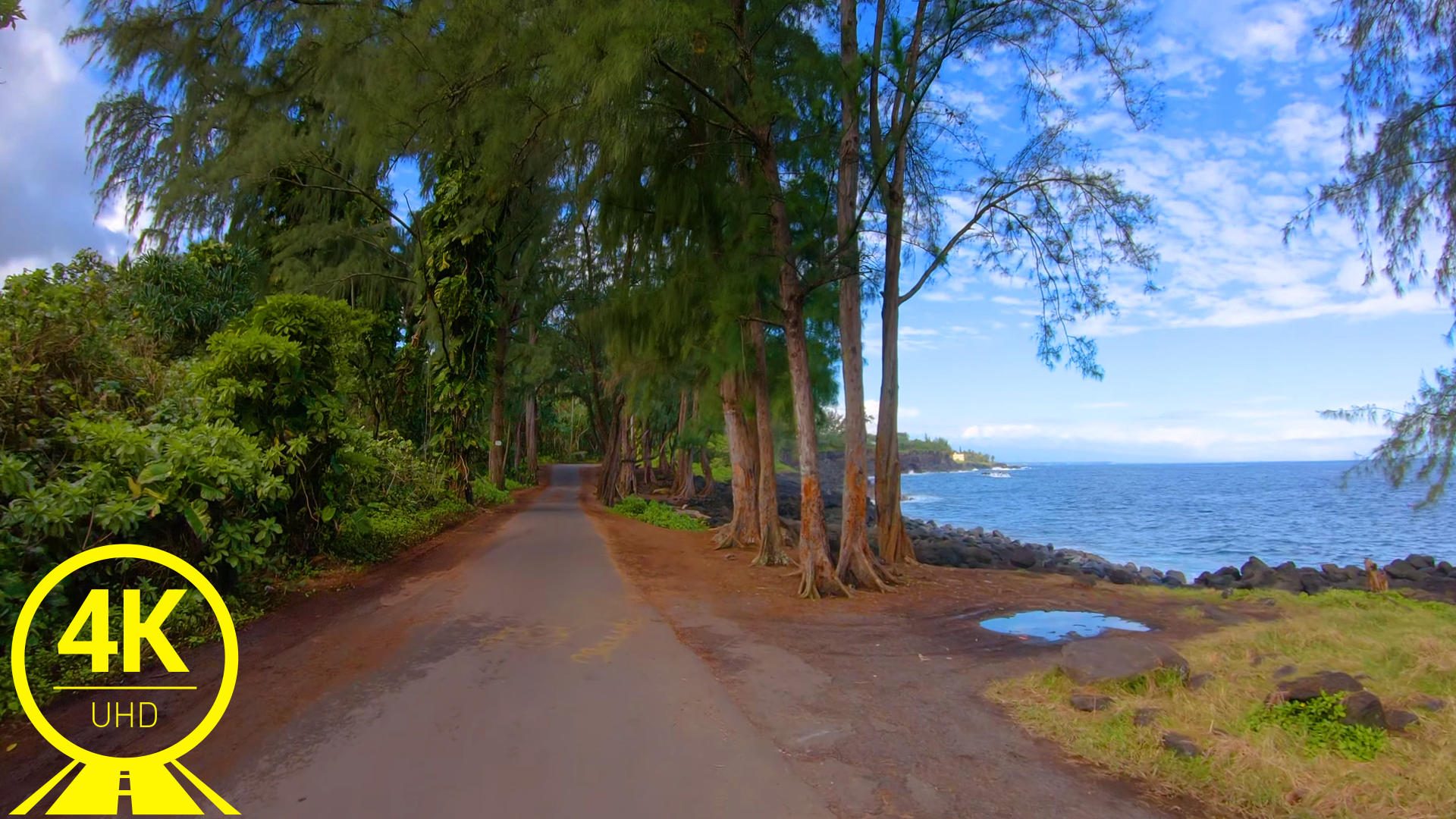 4K Scenic Dtive Video - Hawaian Big Island Scenic Roads | ProArtInc