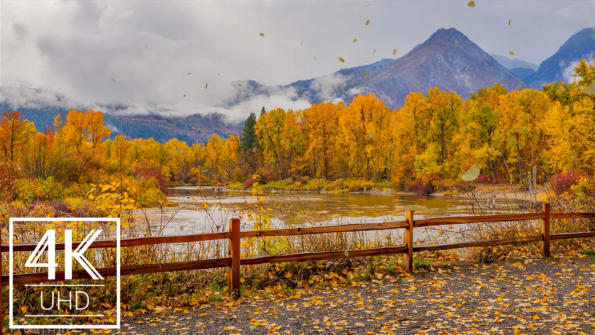 4K Animated Screensaver with Relaxing Ambient Music - Fall Foliage 1 ...