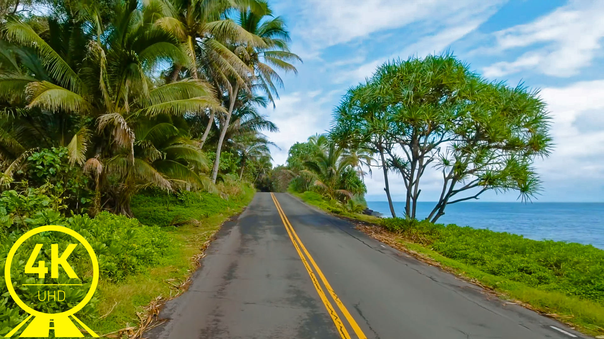 Big Island Scenic Roads, Hawaii | ProArtInc
