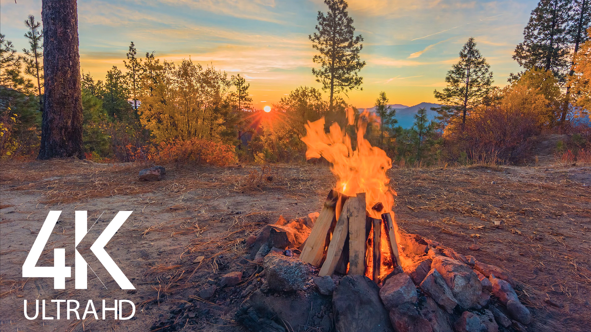 8 HOURS Calming Sounds of Crackling Campfire - 4K Peaceful Atmosphere of Campfire at Sunrise ...