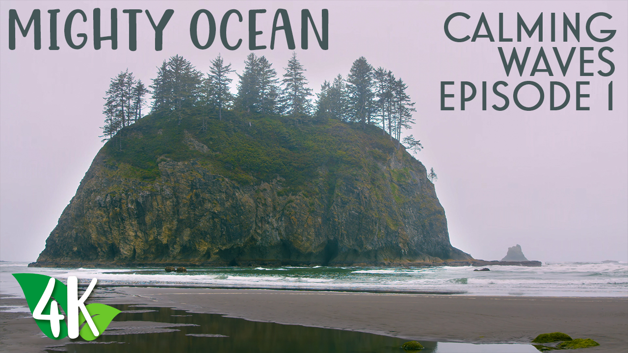 Mighty Ocean. Episode 1 | ProArtInc